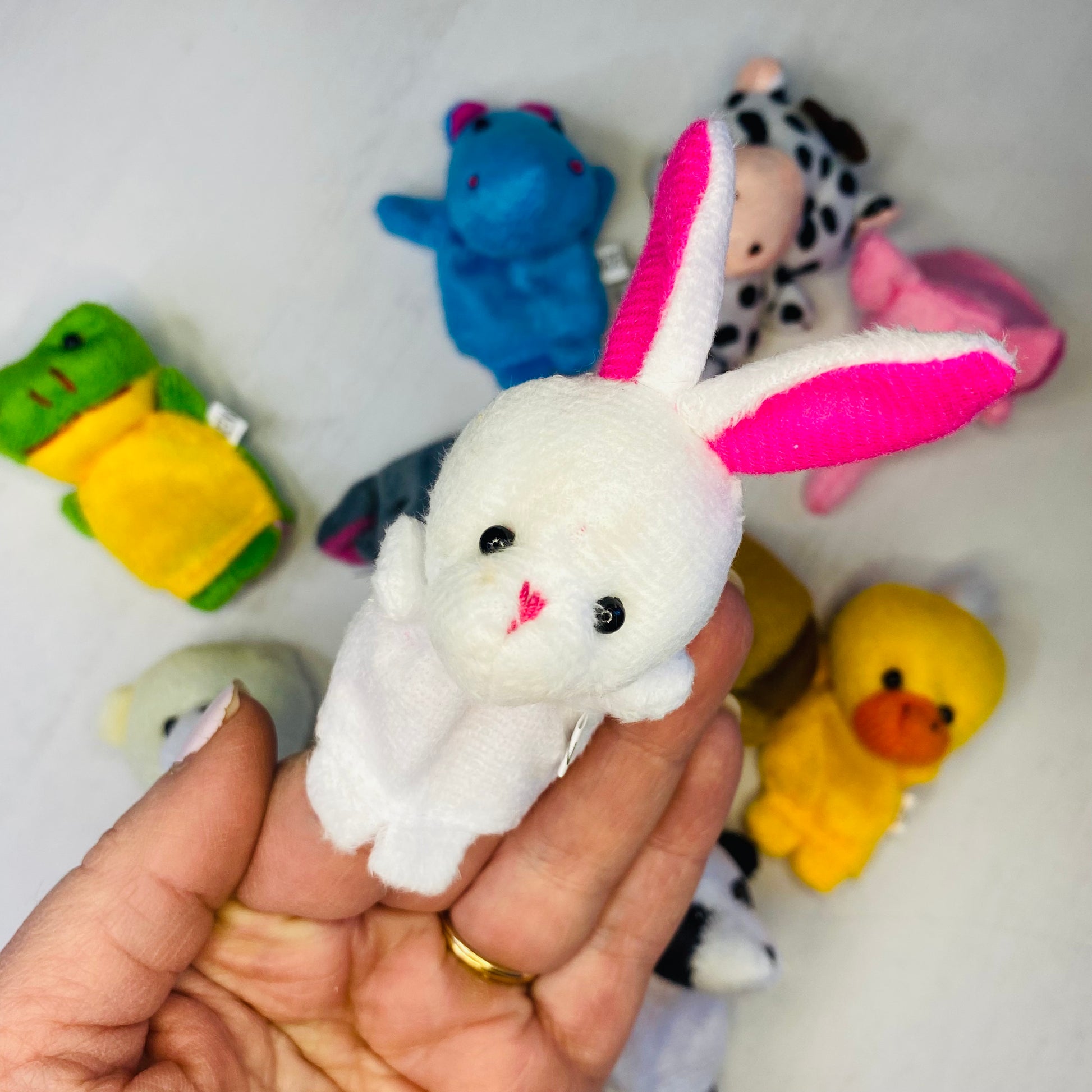 Animal Friends | Finger Puppets – Fun Learn Grow Co.